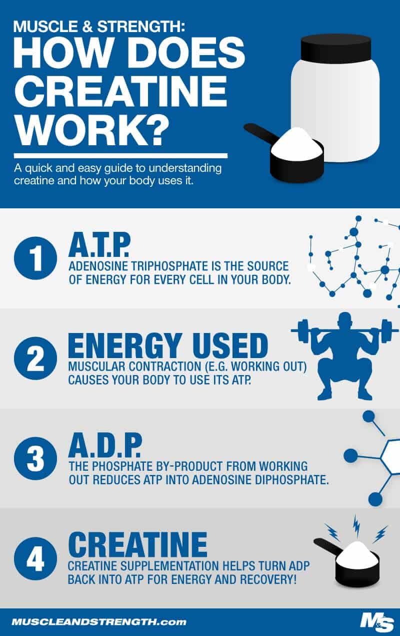 Get The Facts Straight Does Creatine Cause Acne Get The Facts Straight Does Creatine Cause Acne
